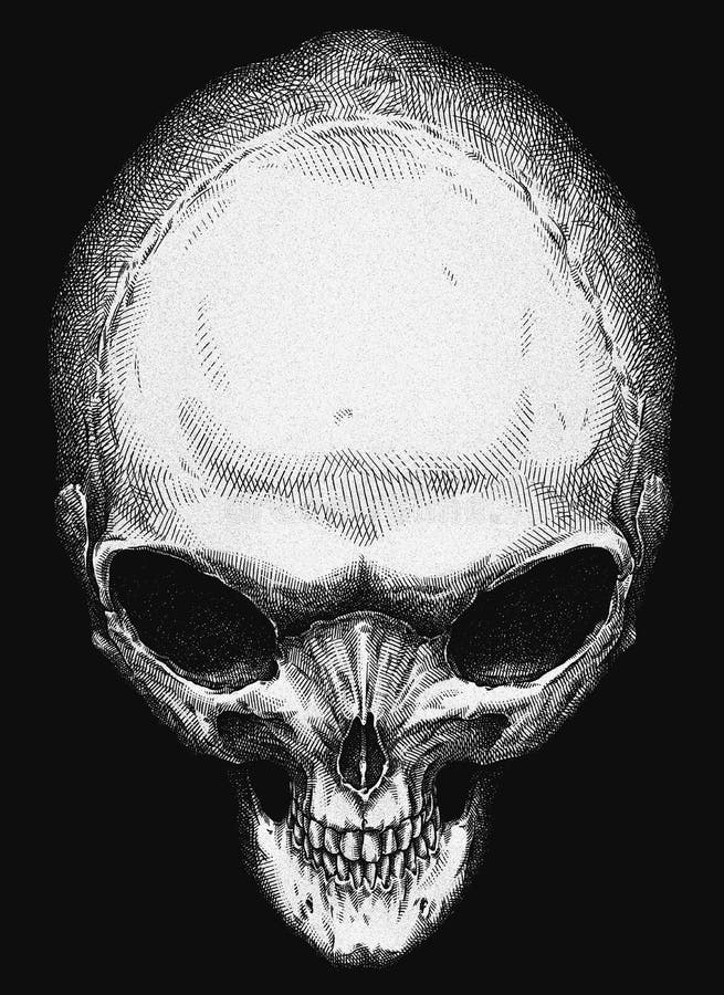 Engrave Isolated Alien Skull Hand Drawn Graphic Illustration Stock ...