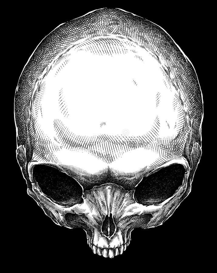Engrave Alien Skull Hand Drawn Graphic Vector Illustration Stock Vector ...