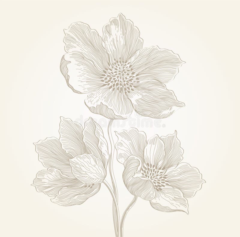 Engraved flowers stock vector. Illustration of flower - 24280393