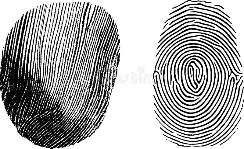 Engraved Illustration Set Featuring Textured Fingerprint Patterns for ...