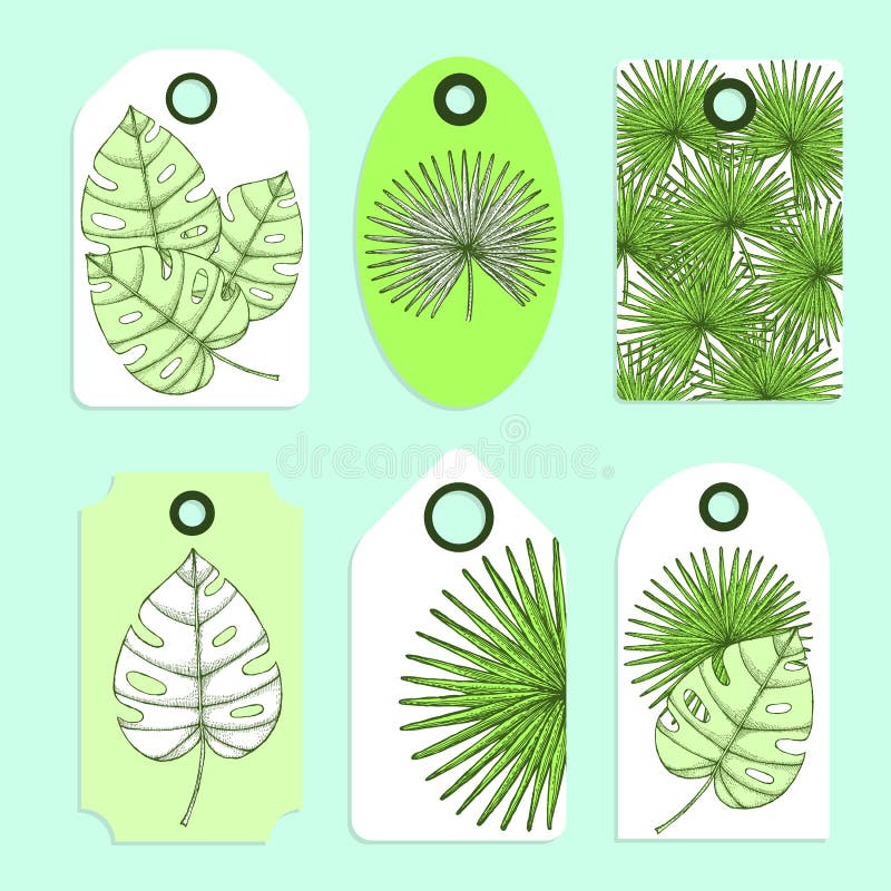 Engraved Palm Leaves Set of Tags Stock Vector - Illustration of ...