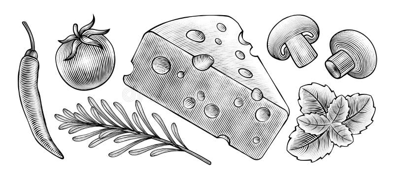 Engraved Style Food Ingredients Stock Vector - Illustration of etching ...