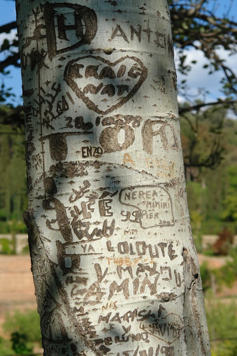 7,690 Graffiti Tree Stock Photos - Free & Royalty-Free Stock Photos ...