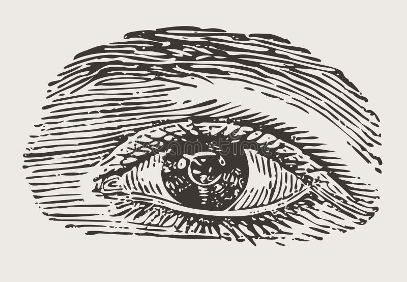 Victorian Eye Medicine Stock Illustrations – 24 Victorian Eye Medicine ...