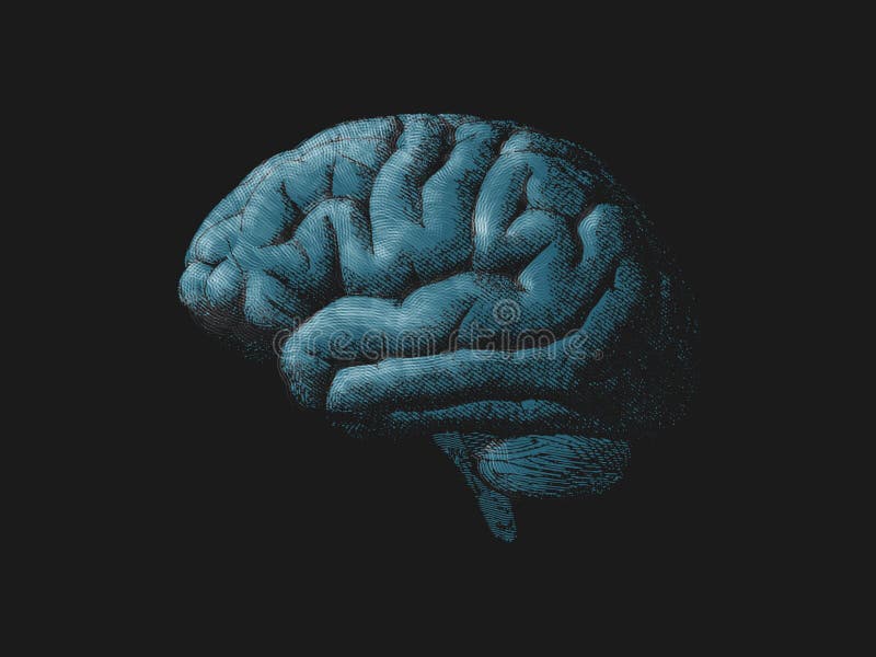 Blue Brain Illustration on Gray Space BG Stock Vector - Illustration of ...