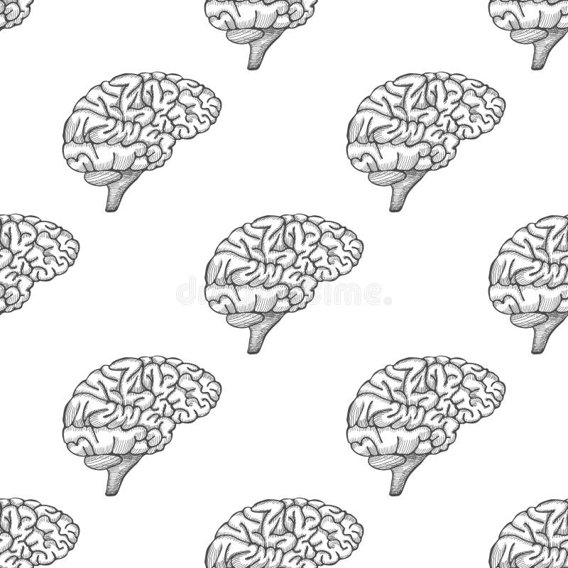 Engraving Brain Illustration, Hand Drawn Anatomical Seamless Pattern ...