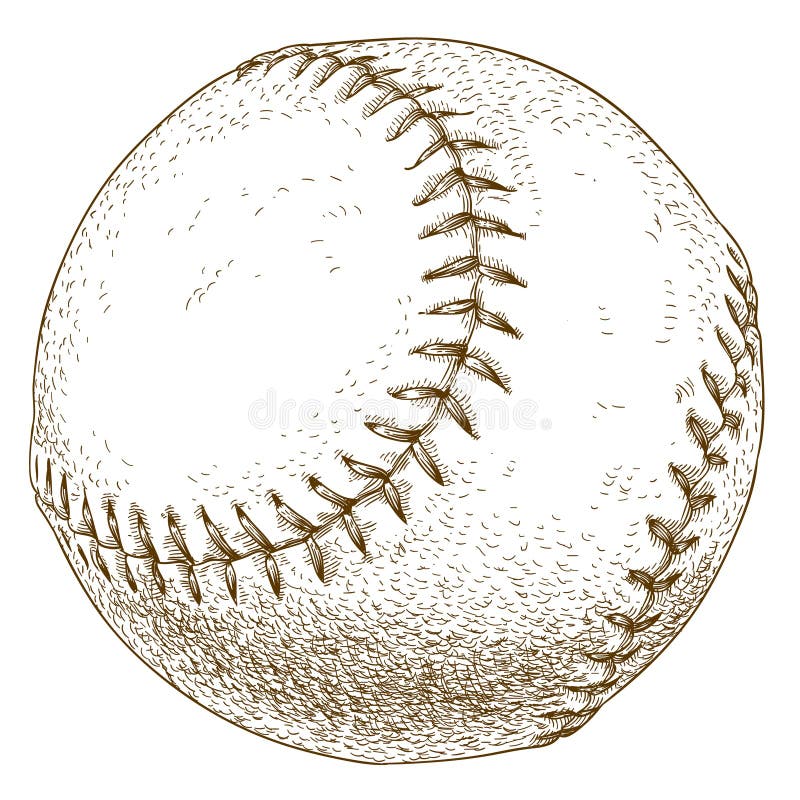 Baseball stock vector. Illustration of ball, softball - 25302508