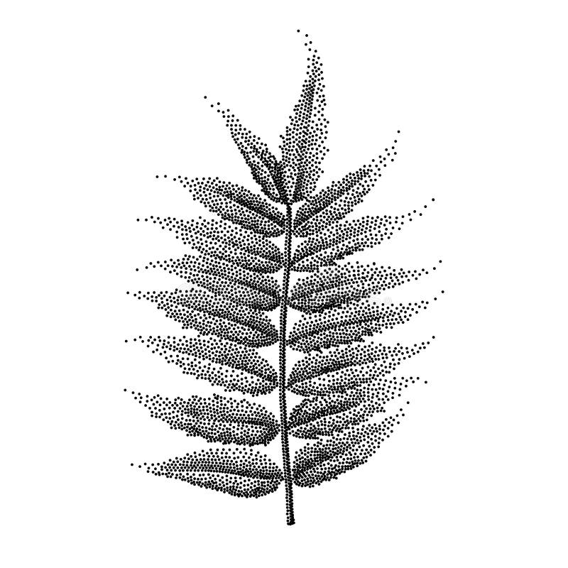 Engraving Oak Leaf Hand Drawn Vector Illustration Stock Vector ...