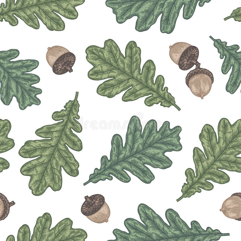 Engraving Seamless Pattern Of Oak Leaf And Acorn Stock Vector Illustration Of November