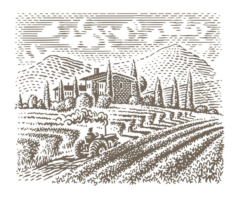 Vine Italian Vineyard Stock Illustrations – 1,099 Vine Italian Vineyard ...