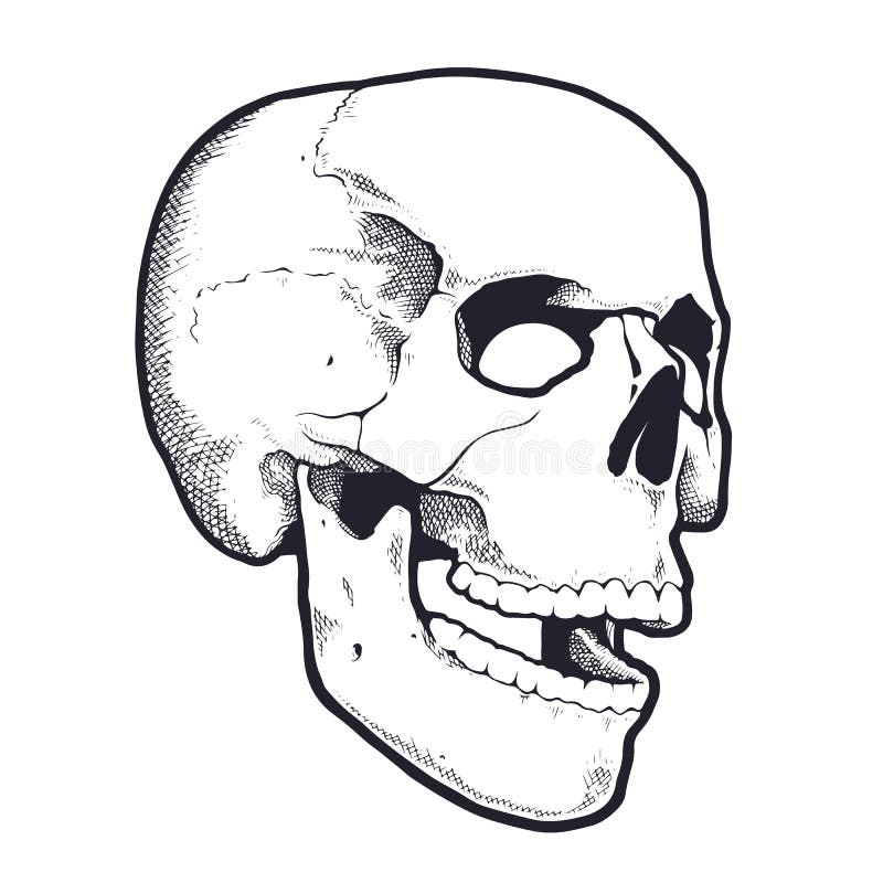 Side View Of Face Drawing Open Mouth