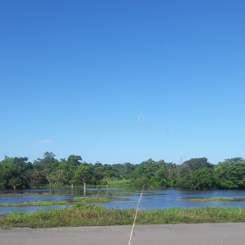 Engulfed stock photo. Image of blue, peace, water, engulfed - 113865258