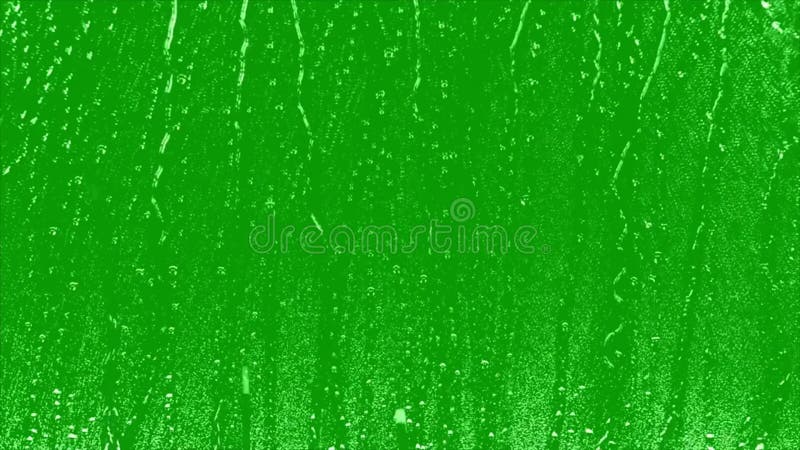 Rain Falling Weather Effect and Splash, Rainy Season Animation on Green ...
