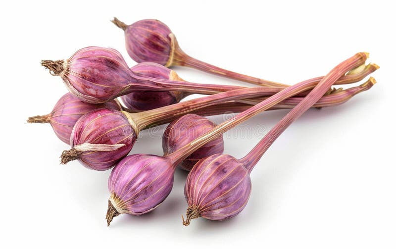 Enhanced by a Crisp White Background -Generative Ai Stock Photo - Image ...