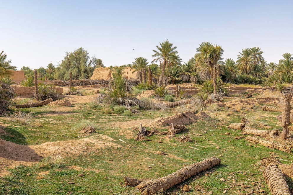 Historic Saudi Arabian Ruins Located Near the Village of Ushaiger ...