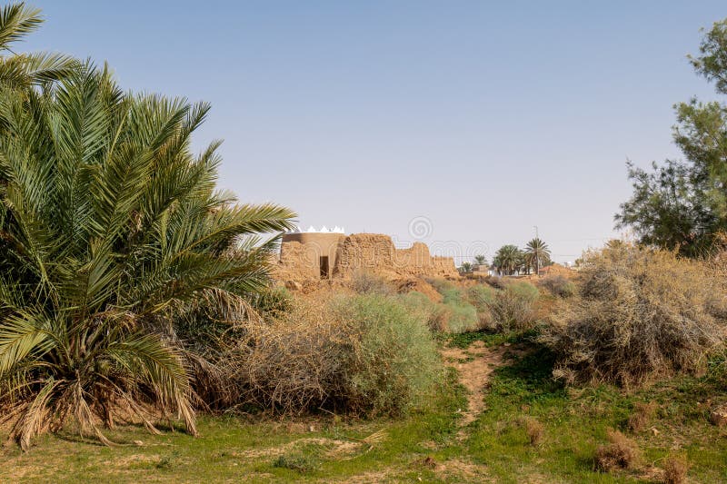 Old Ruins Near Ushaiger, Saudi Arabia Surrounded by Vegetation and Date ...