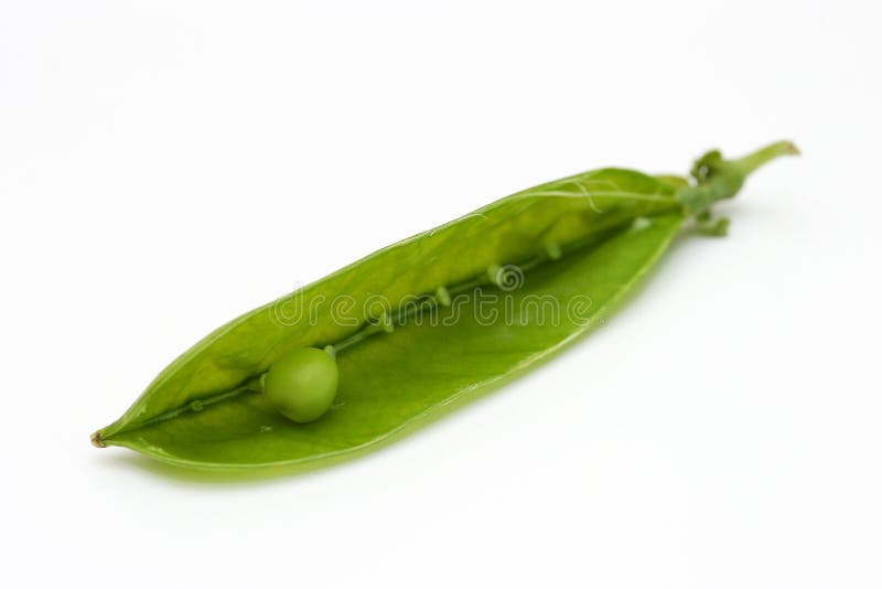 Enige Erwt in een Peul stock foto. Image of keuken, genegeerd - 234782