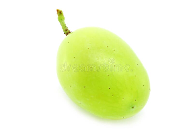 Enige groene druif stock foto. Image of groot, achtergrond - 21179238