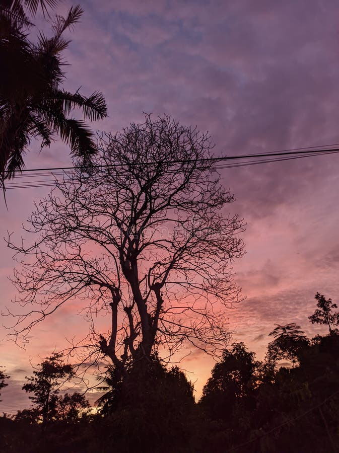 Enjoy the Beautiful Afternoon Atmosphere Stock Image - Image of ...