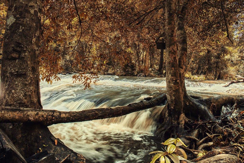 Beautiful stream stock image. Image of stream, enjoy - 139691569