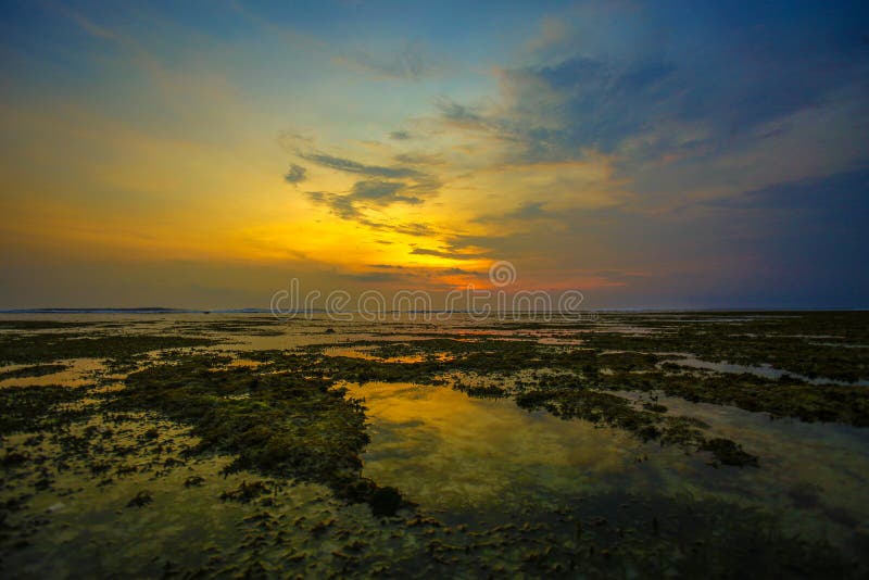 Enjoy the sunrise stock photo. Image of life, earth - 211571498