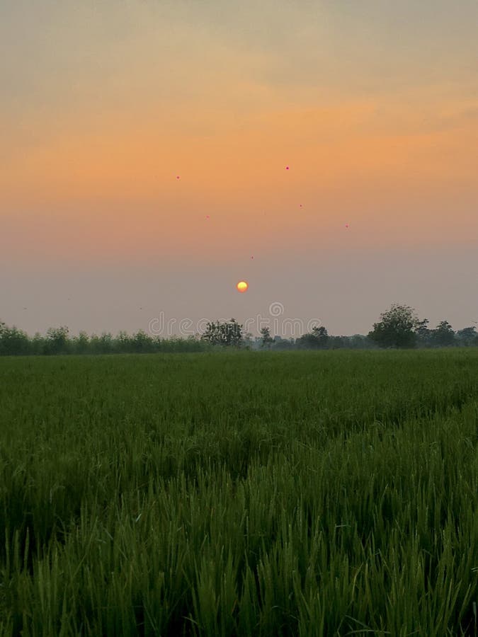 Evening Vibes stock image. Image of peace, beautiful - 264902109