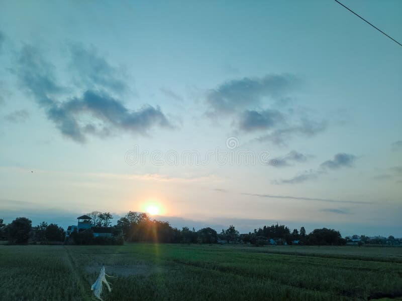 Enjoy the Beauty of the Sunset by the Rice Fields with a Cool ...