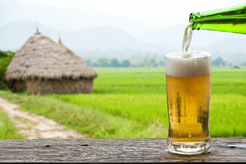 Enjoy Beer with Rice Field Landscape. Stock Image - Image of drink ...