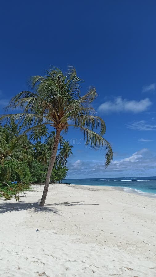 Enjoy the Breeze and the Beauty of the Blue Sky on the Beach Stock ...