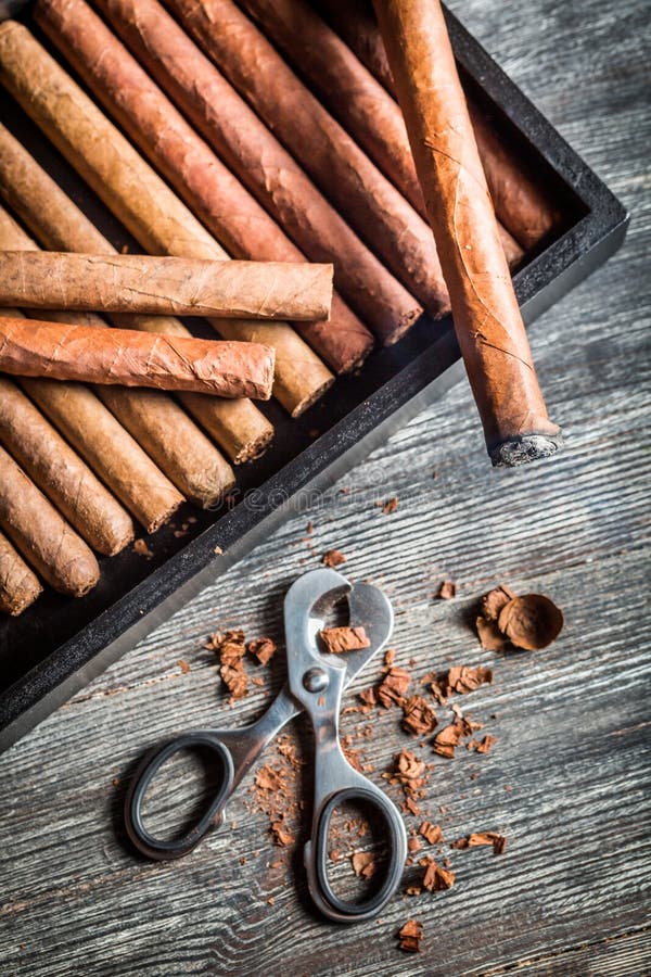 Enjoy of cigar stock photo. Image of habana, cigar, closeup - 37096146