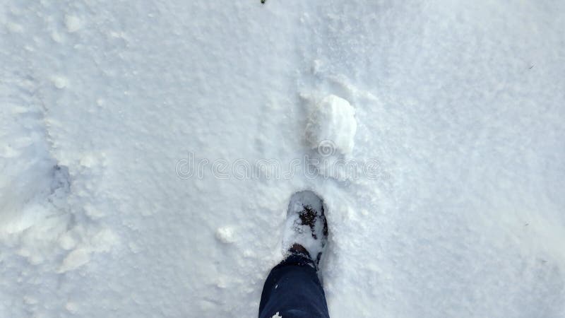Winter Adventure in Deep Snow with One Foot Stepping through Stock ...