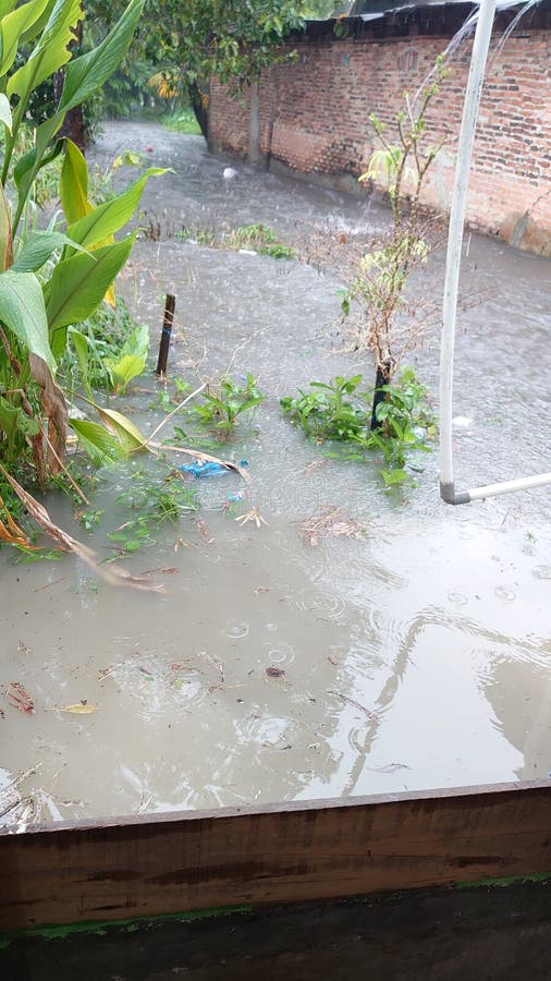 Enjoy Heavy Rain at Calm Day Stock Photo - Image of enjoy, rain: 264204132