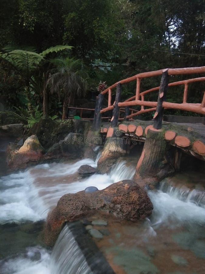 Hot spring in the morning stock image. Image of garden - 251834765