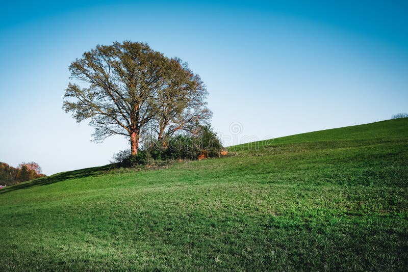 Enjoy the Idyll and Feel Free Stock Image - Image of country, mountain ...