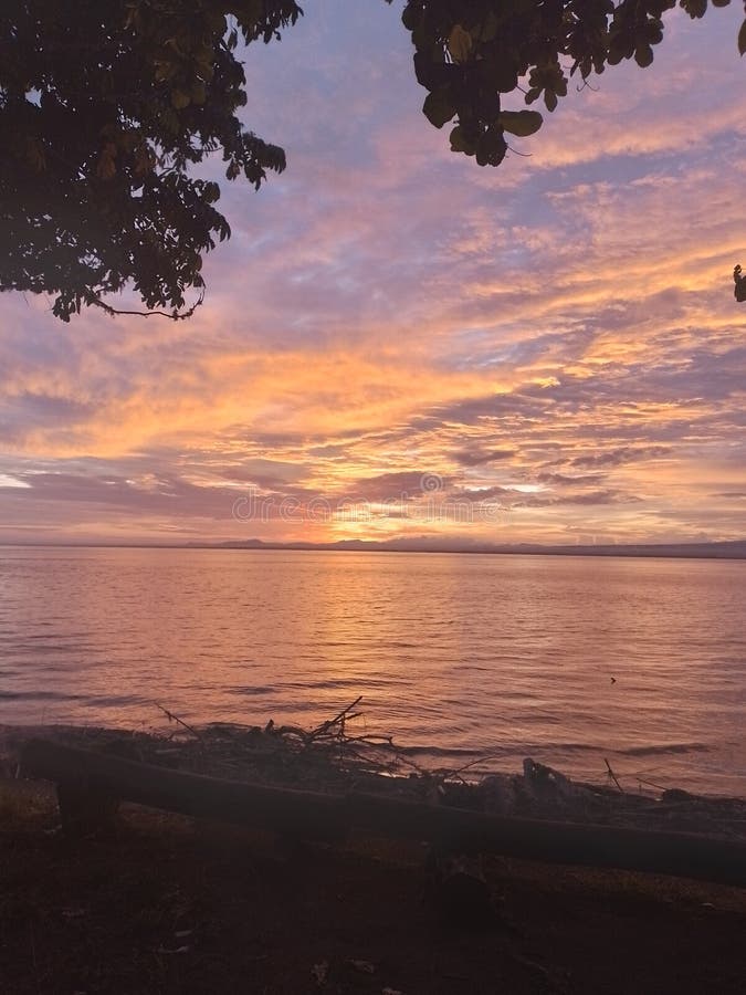 Enjoy Living with All the Grace of Nature Stock Photo - Image of enjoy ...