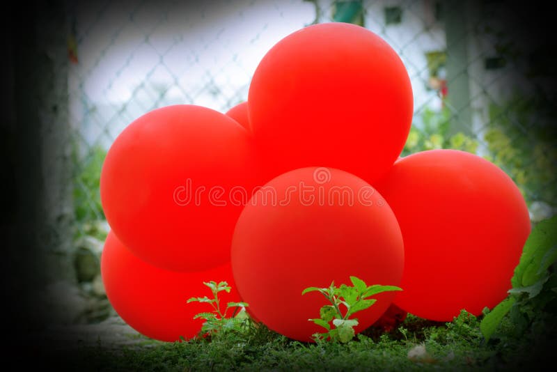 Patsies Stock Photos - Free & Royalty-Free Stock Photos from Dreamstime