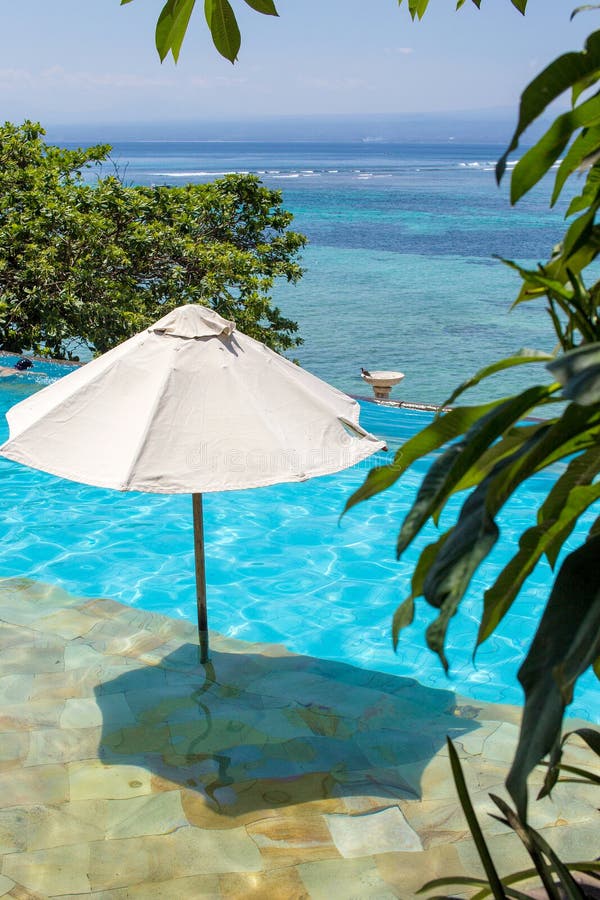 Enjoy the Ocean View Infinity Pool on Vacation Stock Image - Image of ...