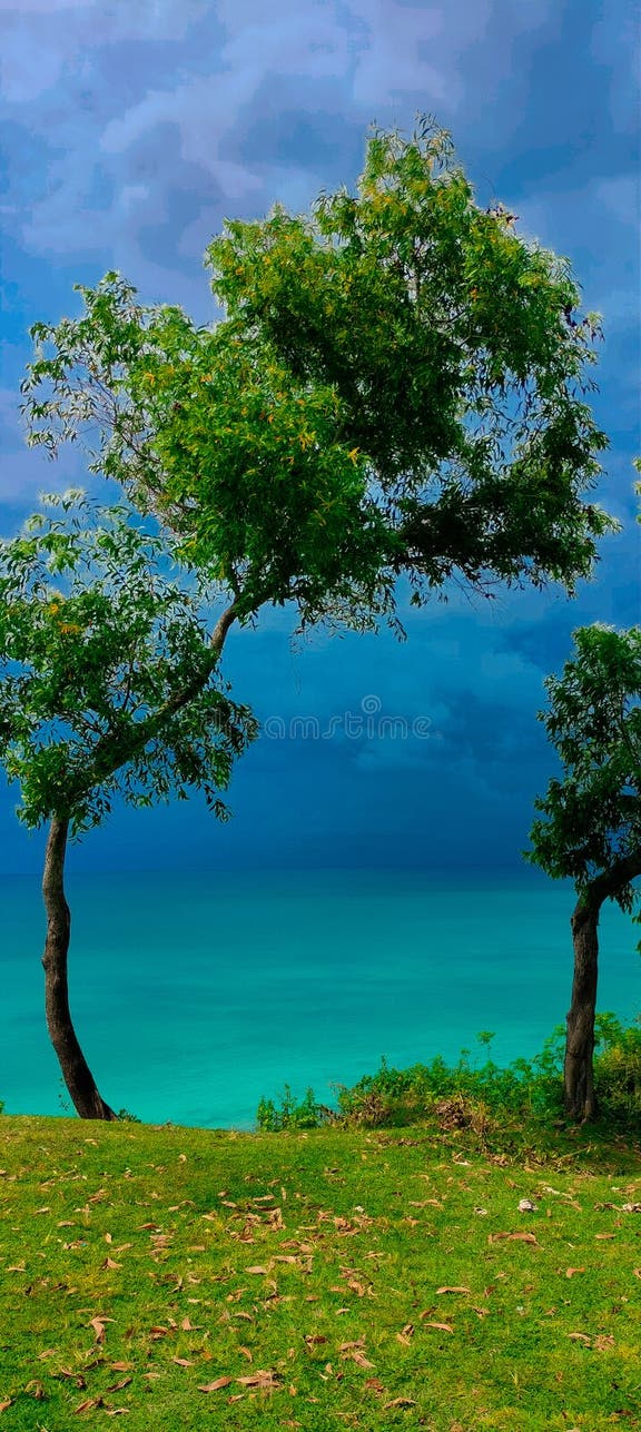 Enjoy the Sea View from the Top of the Hill Stock Photo - Image of view ...