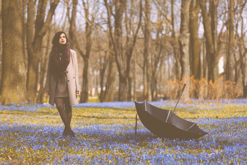 Enjoy the spring stock photo. Image of meadow, blue, fresh - 53316704