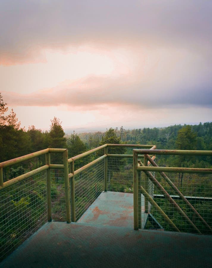 Enjoy the Sunset from the Tree House Stock Image - Image of house, tree ...