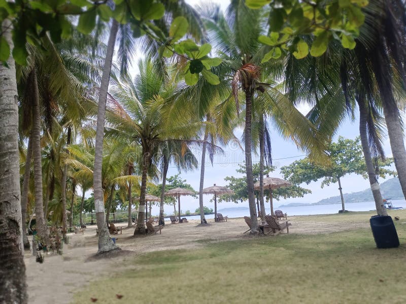 Enjoy Your Life Under Coconut Trees Stock Image - Image of resort ...
