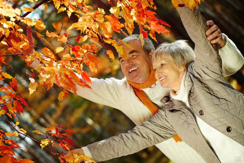 Senior couple autumn fall stock photo. Image of older - 26853420