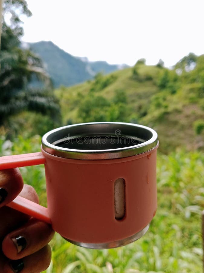 Enjoying Coffee in the Rice Fields Stock Photo - Image of enjoy ...