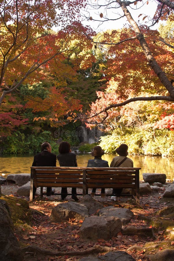 Enjoying the fall stock image. Image of orange, water - 17303713