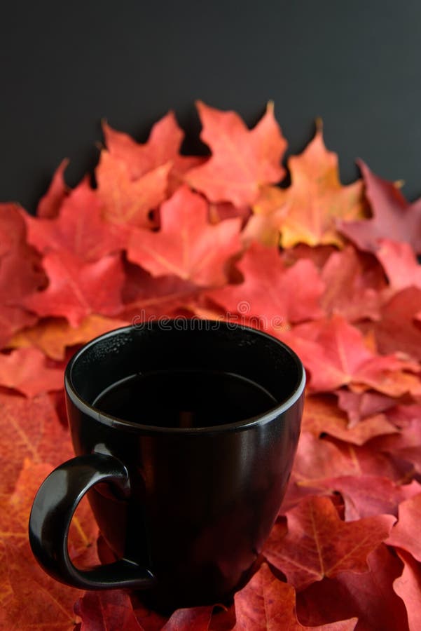 Enjoying Fall with a Hot Cup of Tea Stock Photo - Image of liquid ...