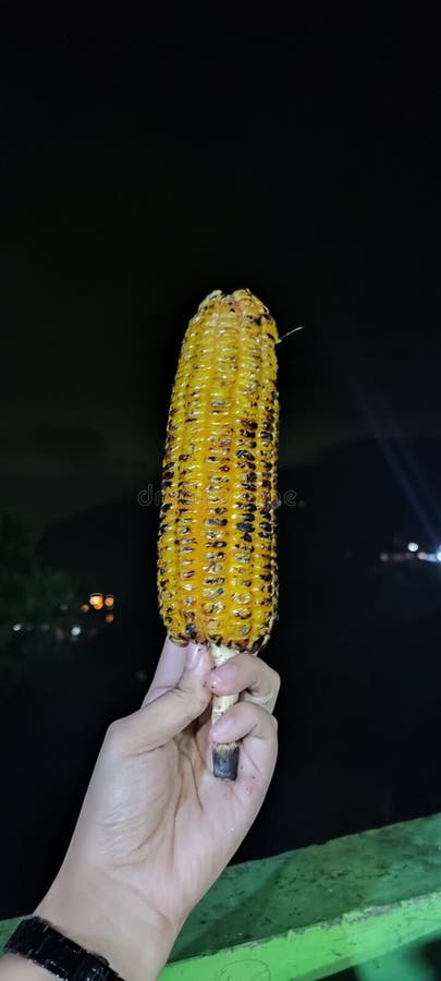 Enjoying Hot Grilled Corn on a Cold Night Stock Photo - Image of ...