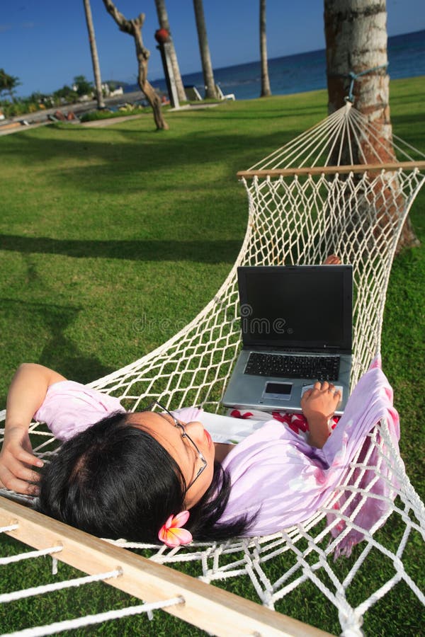 Japaneese Life Bush Stock Photos - Free & Royalty-Free Stock Photos ...