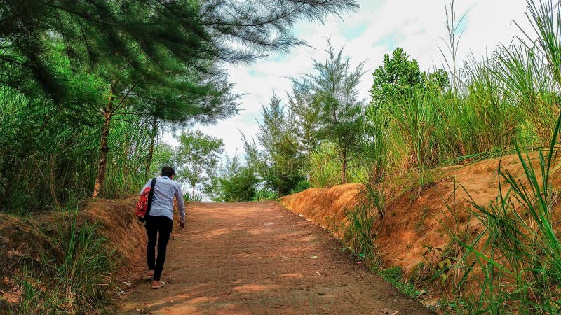 Enjoying Natural Beauty of Forest Editorial Photography - Image of ...