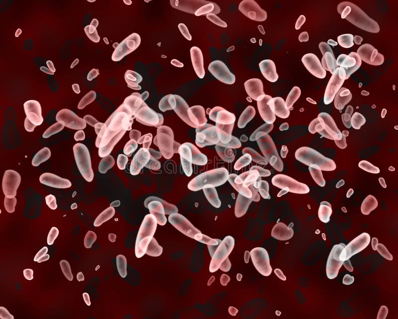 Enlarged Bacteria Illustration Stock Illustration - Illustration of ...