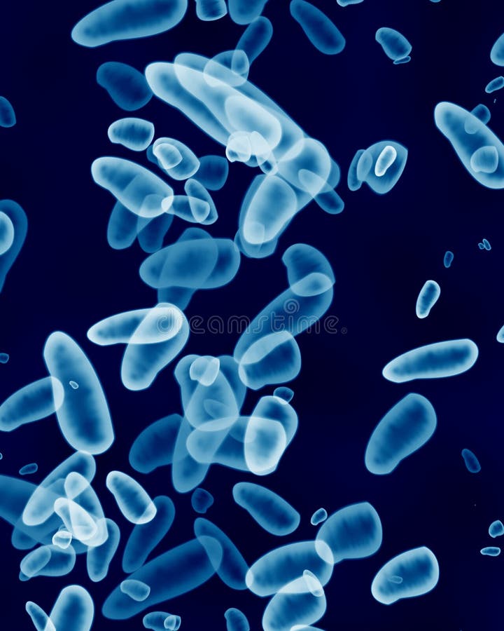 Blue Bacteria Cells Science Illustration Stock Illustration ...